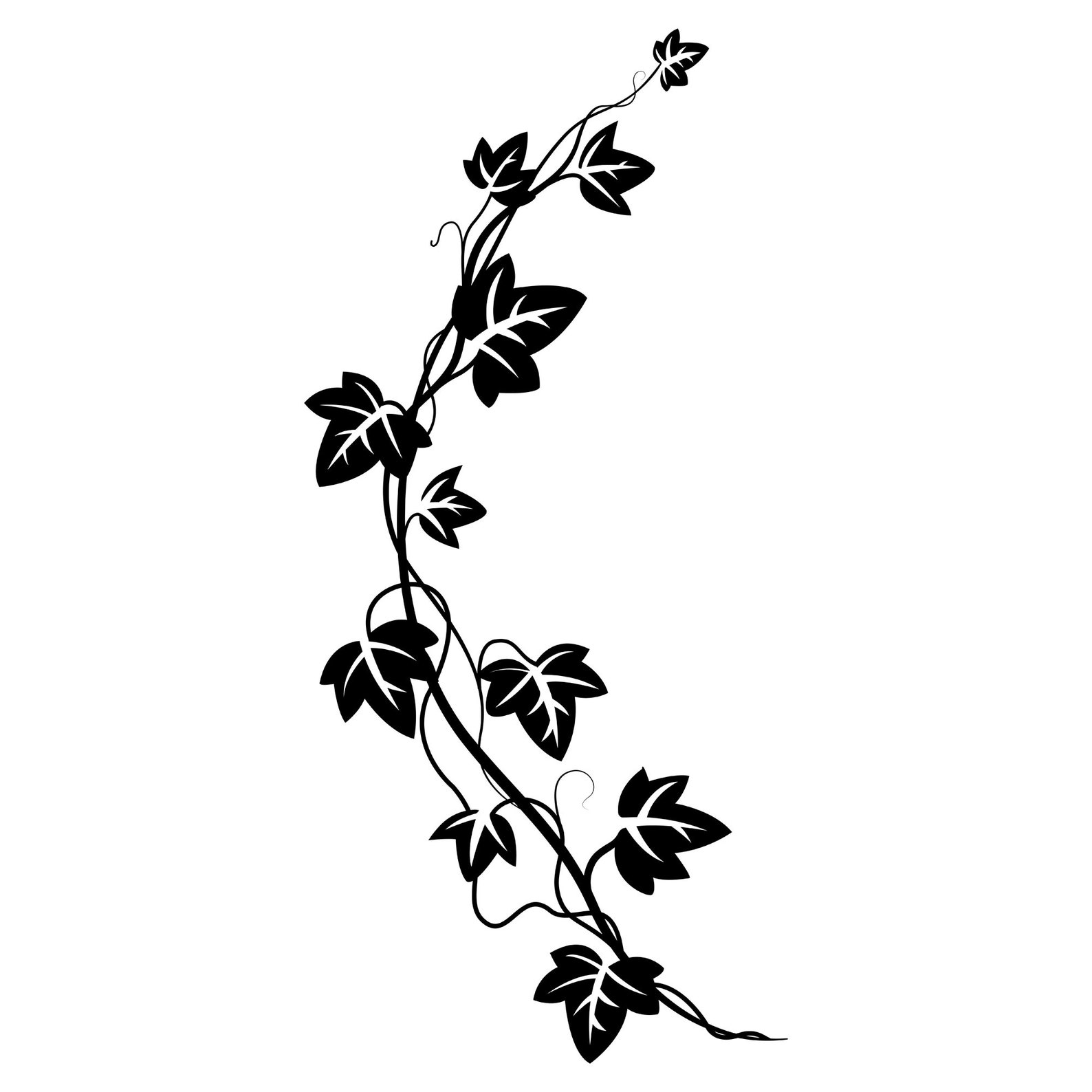 Ivy Leaf SVG Poison Ivy SVG Ivy Border Digital Download - Etsy Finland