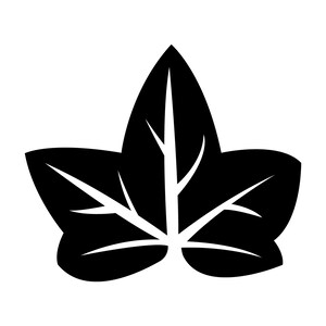 Efeu Blatt SVG, Poison Ivy SVG, Efeu Border, Digitaler Download, Efeu ...