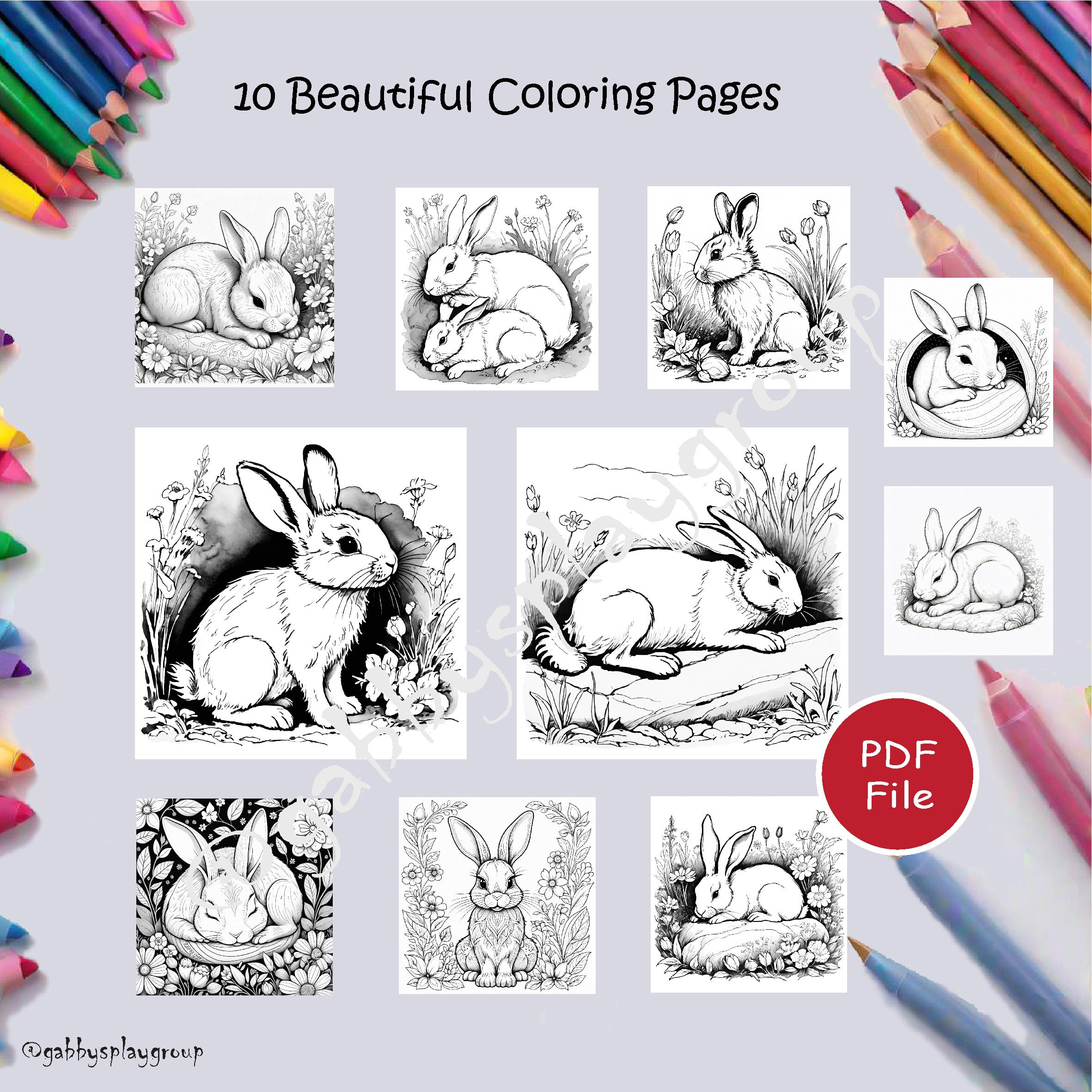Bunny Rabbit 10x Coloring Pages, Square Printable Sheets, Realistic ...