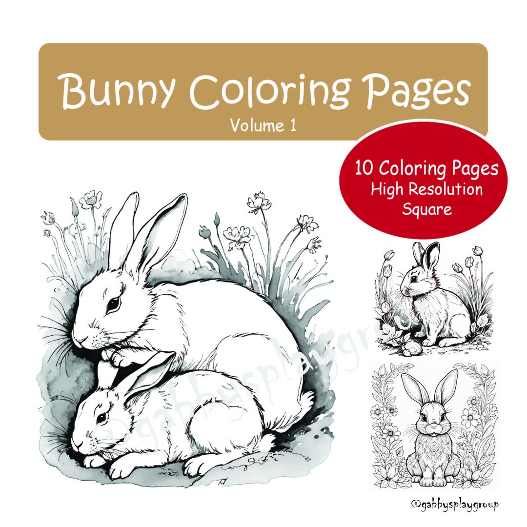 Bunny Rabbit 10x Coloring Pages, Square Printable Sheets, Realistic ...