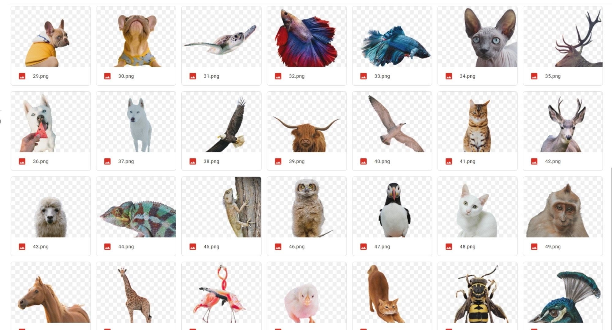 Vintage Collage Animals Kit, Collage Cut-outs, Magazine Cut Outs ...