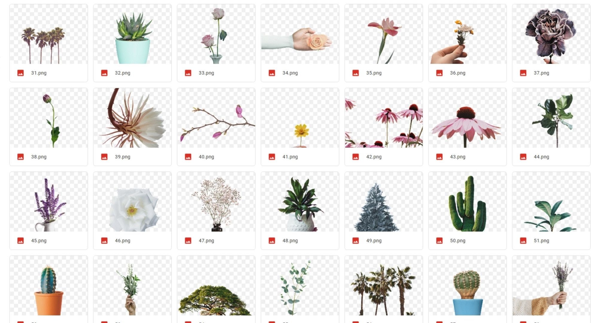 Vintage Collage Plants and Flowers, Collage Cut-outs, Magazine Cut Outs ...