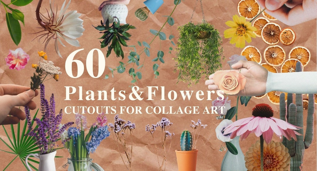 Vintage Collage Plants and Flowers, Collage Cut-outs, Magazine Cut Outs ...