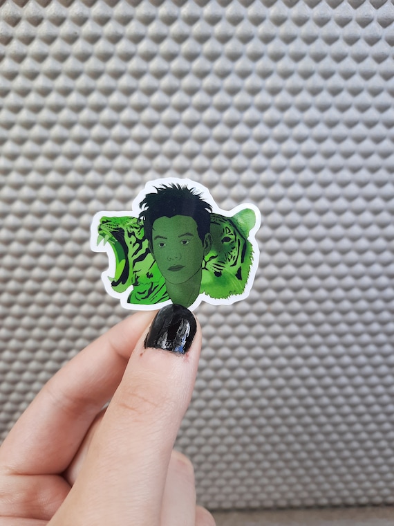 Beast Boy Sticker DC Titans - Etsy