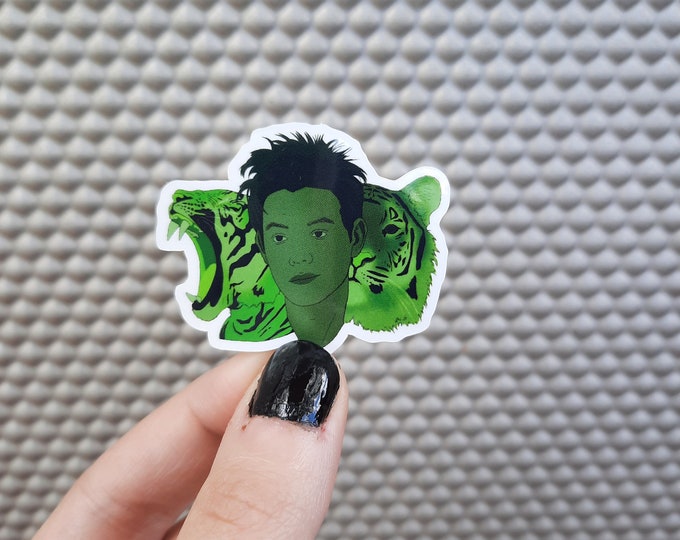 Beast Boy Sticker DC Titans - Etsy