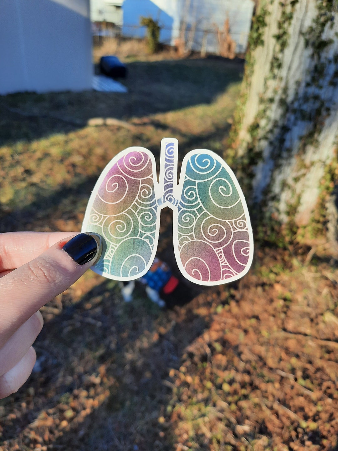 Rainbow Lungs Mirror Sticker - Etsy