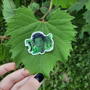 Beast Boy Sticker (DC Titans) - Etsy