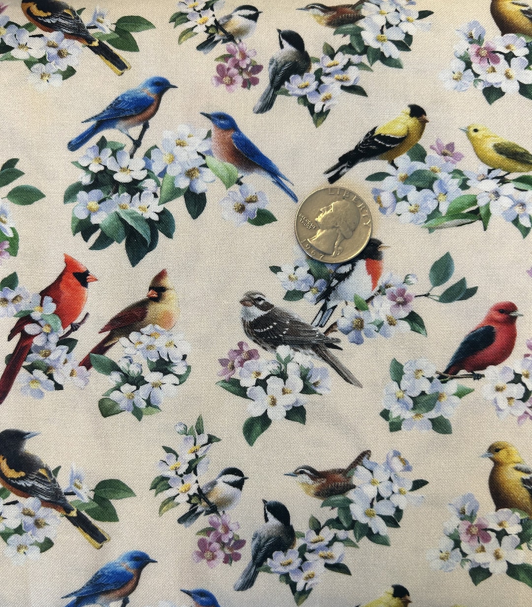 Birds All Over 100% Cotton Fabric by Elizabeth Studios FREE SHIPPING - Etsy