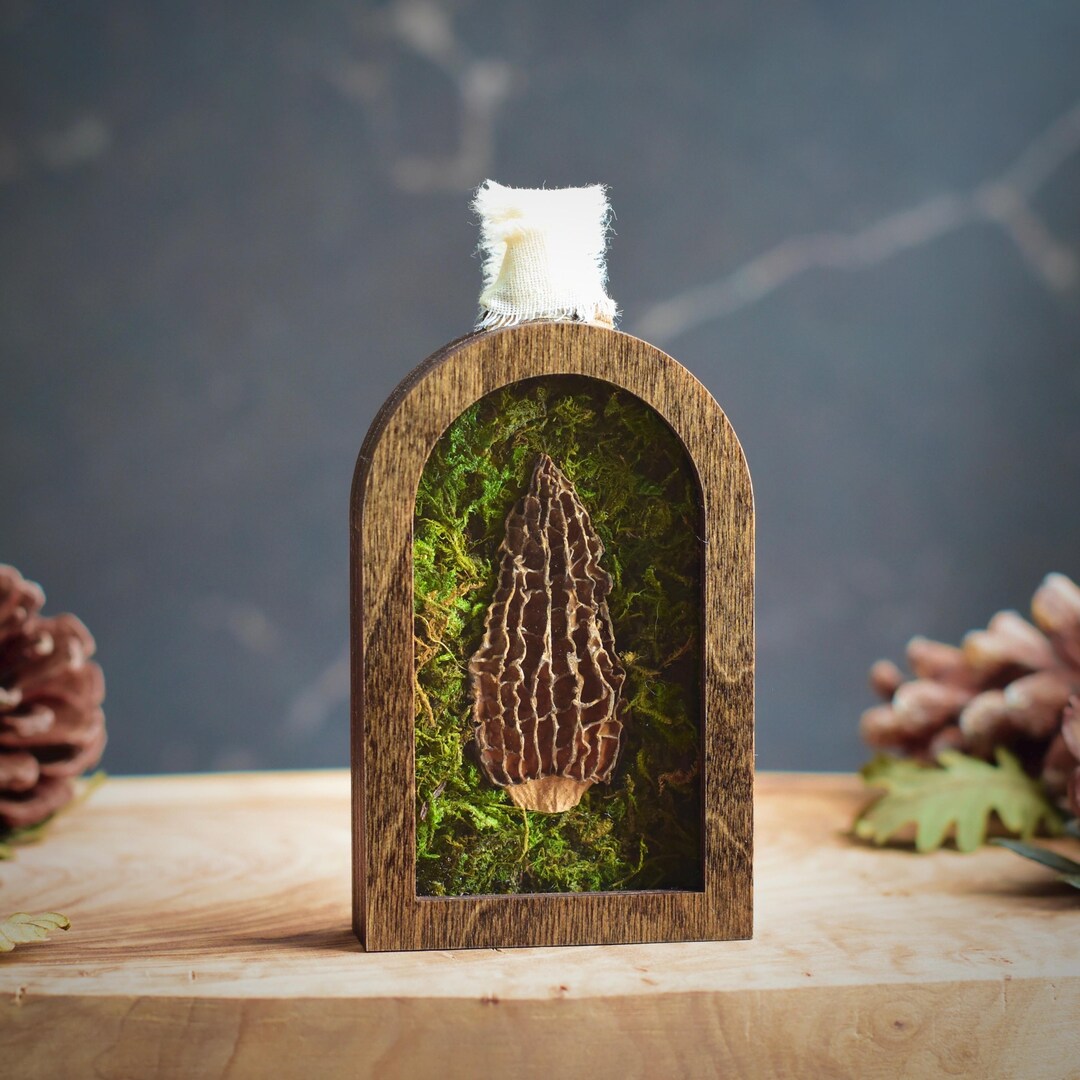 Morel Mushroom Christmas Ornament | Woodland Decor | Cottage Core Gift ...
