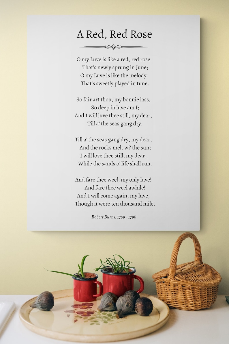 A Red, Red Rose | Love Poem by Robert Burns | Valentine's Day Gift ...