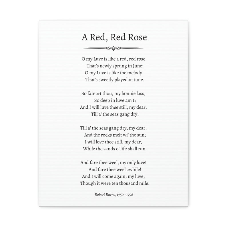 A Red, Red Rose | Love Poem by Robert Burns | Valentine's Day Gift ...