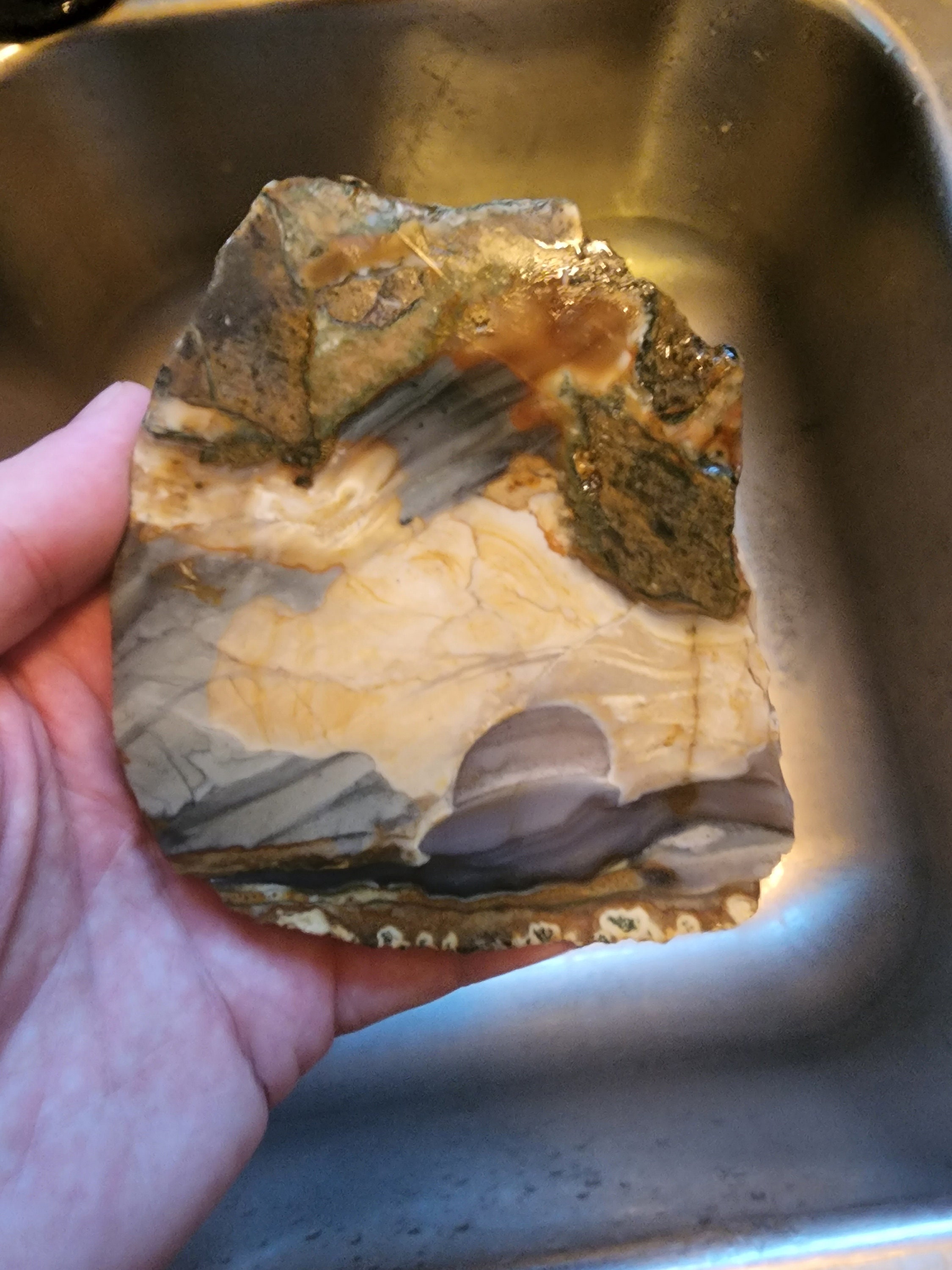 Blue Mountain Picture Jasper Slabs Grade A - Etsy