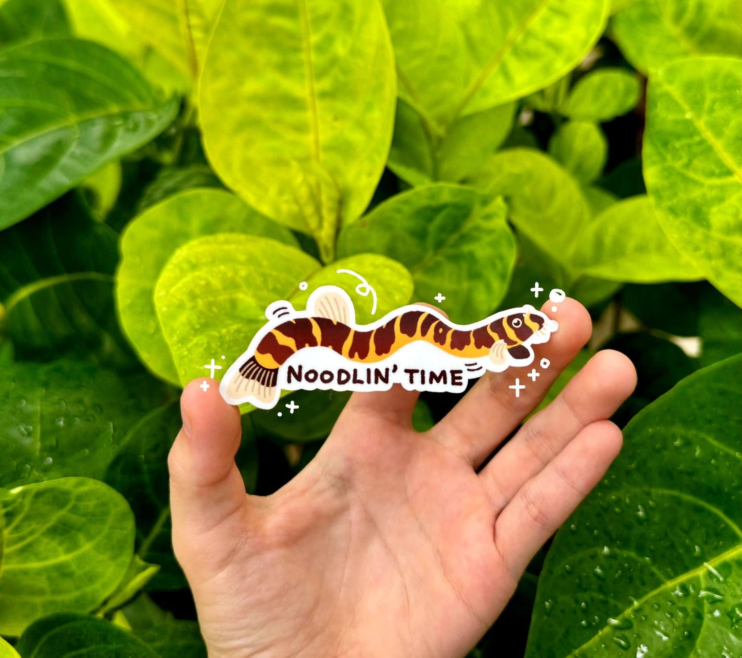 Noodlin' Time Loach Sticker: Glossy Meme Vinyl Decal - Etsy