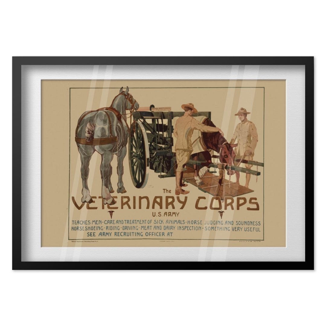 WWI US Veterinary Medical Corps 1919 Veterinarian Recruiting Poster ...