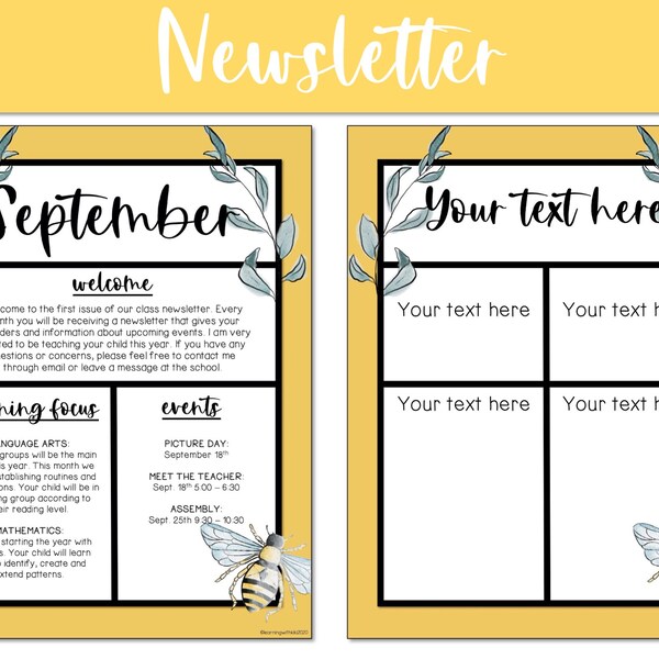 Newsletter Template - Etsy
