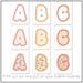 Disco Floral Bulletin Board Letters A Z, Letters and Numbers, Retro ...
