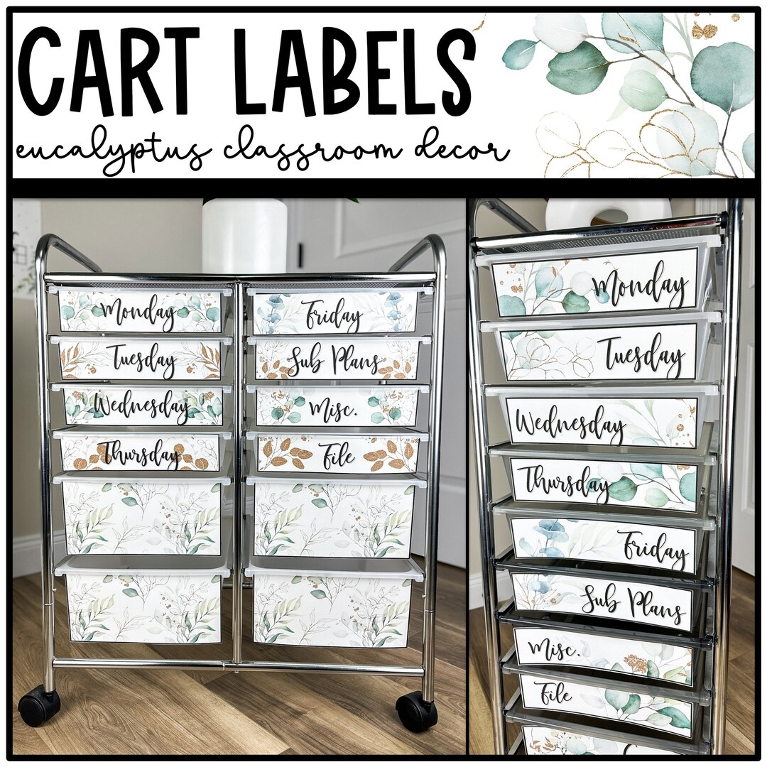 Eucalyptus and Gold 10 and 12 Drawer Rolling Cart Labels | Teacher Cart ...