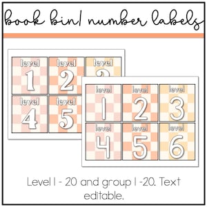 Disco Floral Classroom Labels, Editable, Retro Classroom Decor - Etsy