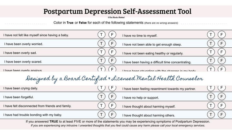 Postpartum Wellness Planner With PPD Self-assessment Tool & Self Care ...