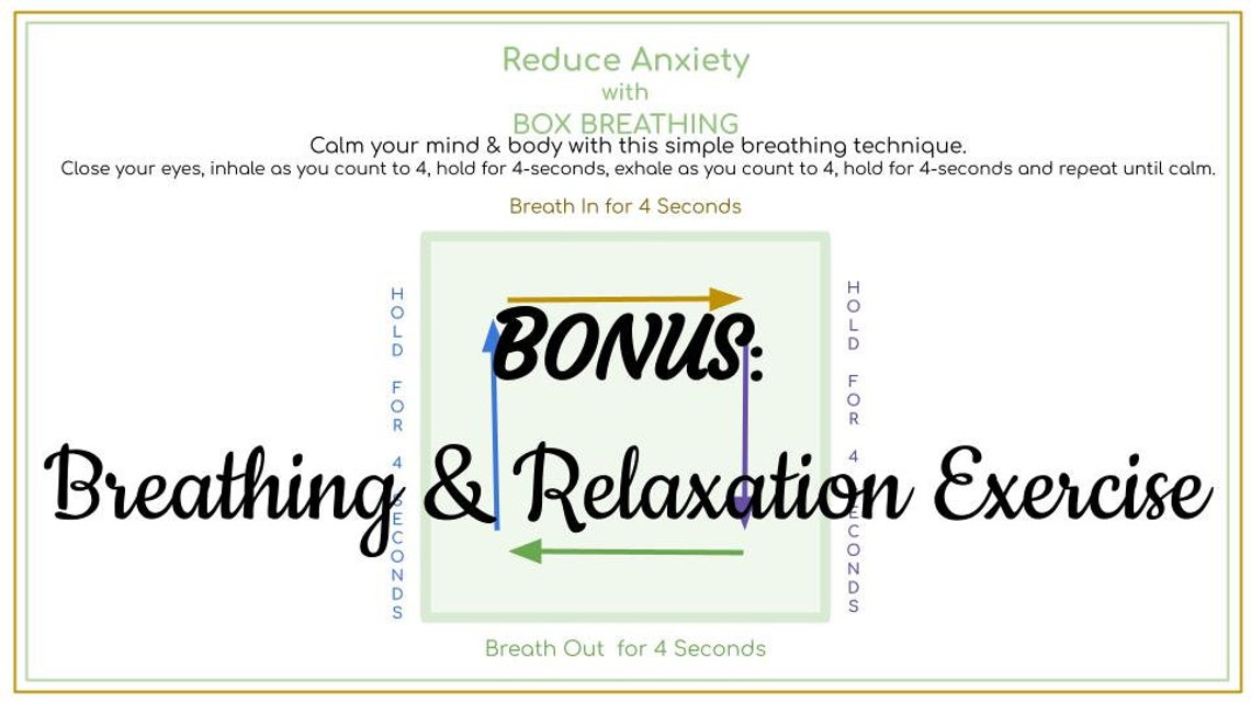 The Anger House CBT / Art Therapy Bundle for Children & Teens With ...