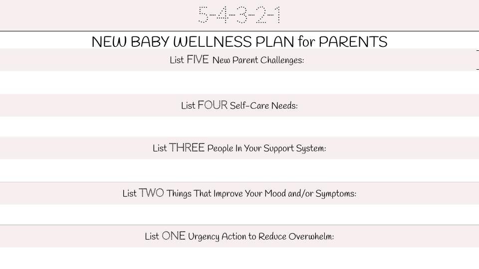 Postpartum Wellness Planner With PPD Self-assessment Tool & Self Care ...