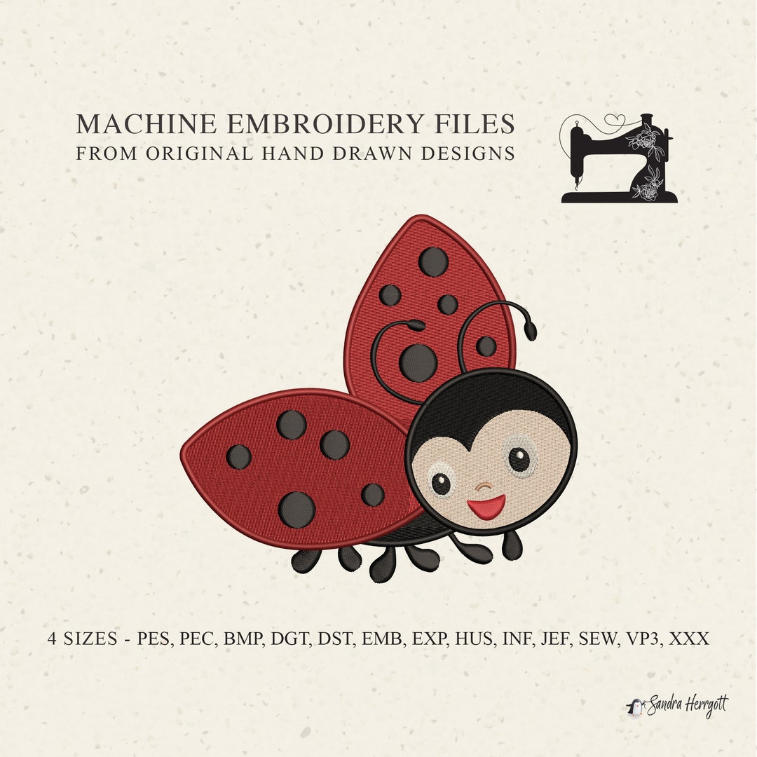 Cute Ladybug Flying Machine Embroidery Design Pattern File, Sweet ...