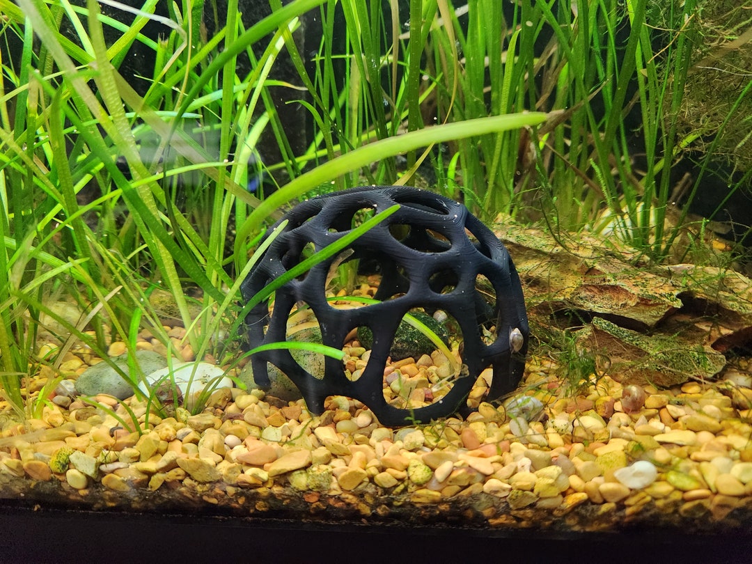 Dome for Aquariums, Terrariums, and Decor - Etsy