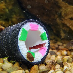 Aquarium Sushi Fish Hide 3D Print - Etsy