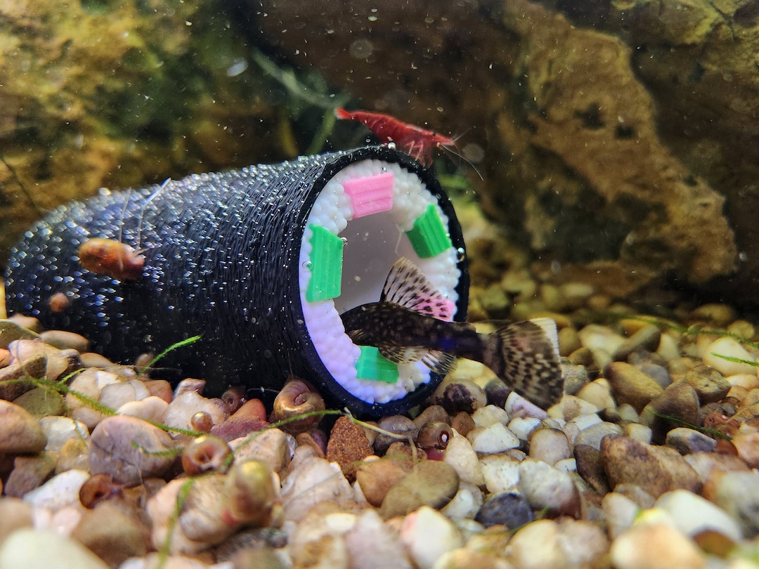 Aquarium Sushi Fish Hide 3D Print - Etsy