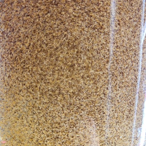 Brine Shrimp Egg Hatchery Holder Kit - Etsy