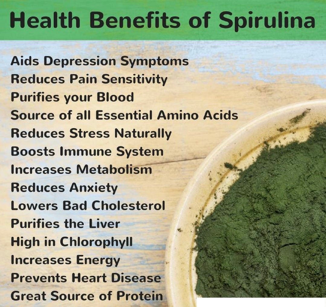 Spirulina Sea Moss Gel Dr. Sebi's Grade- Kids Approved - Etsy