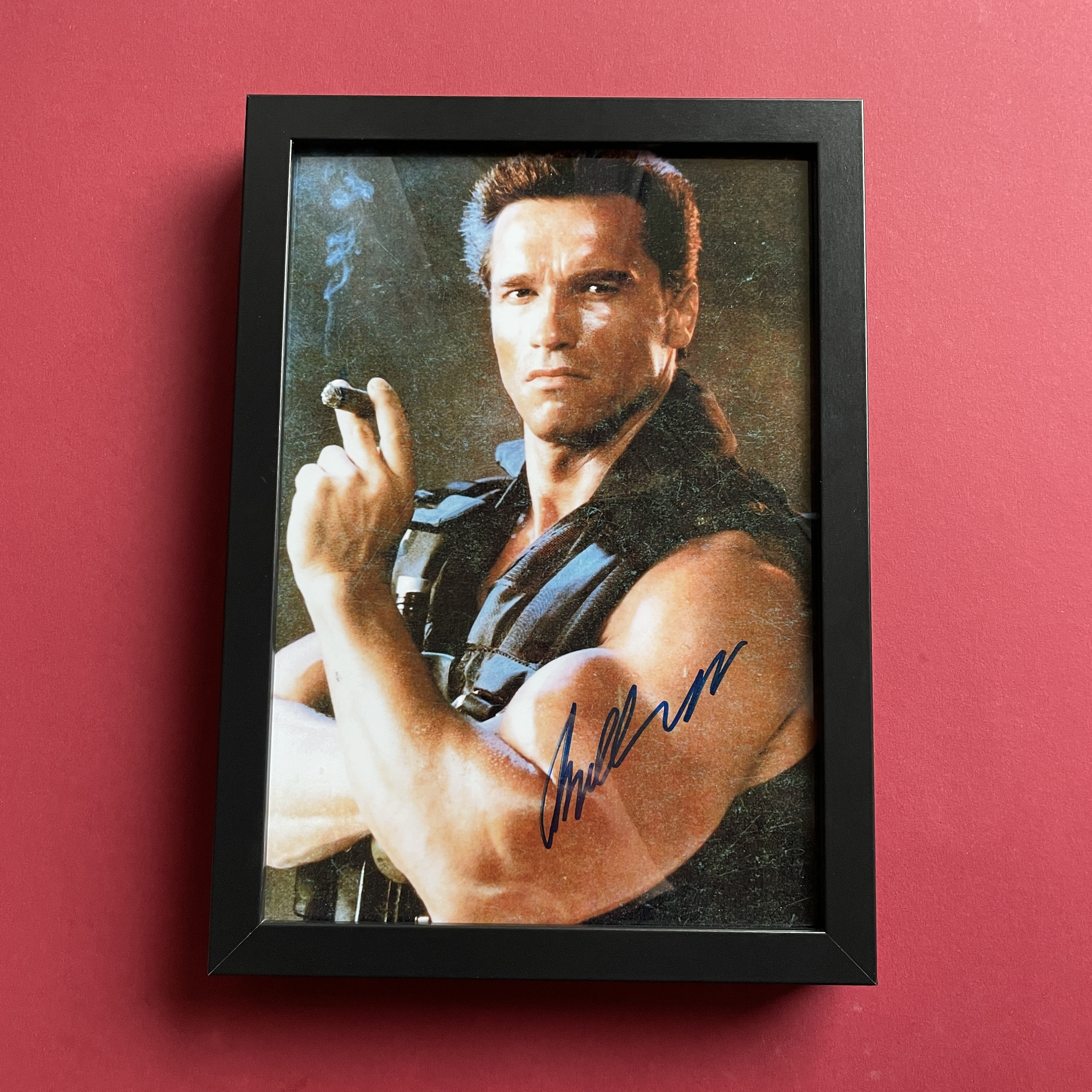 Framed ARNOLD SCHWARZENEGGER Authentic Hand-signed Photo Autograph With ...