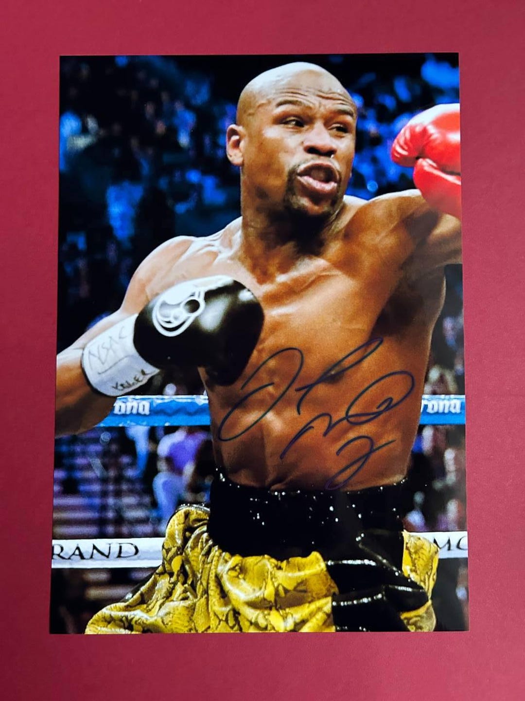 FLOYD MAYWEATHER Jr. - Authentic Hand-signed Photo Autograph With COA ...