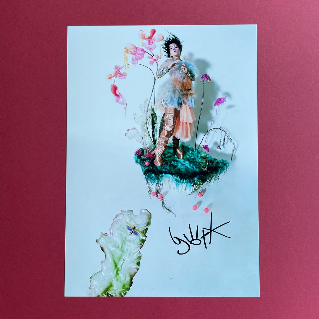 BJORK - Authentic Hand-signed Photo Autograph With Coa - Etsy