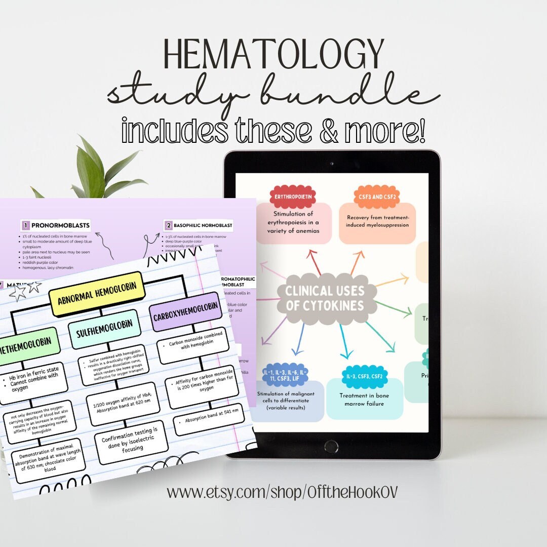 Hematology Concept Map BUNDLE - Etsy