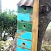 Handmade Rustic Bird Nesting Box, Garden Decor Recliamed Wood,weathered ...
