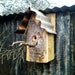 Handmade Rustic Bird Nesting Box, Garden Decor Recliamed Wood,weathered ...