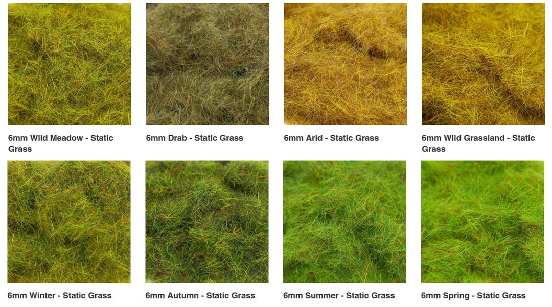 Static Grass 6mm PGS Blends 10g 1000ml Choose From 7 Sizes - Etsy