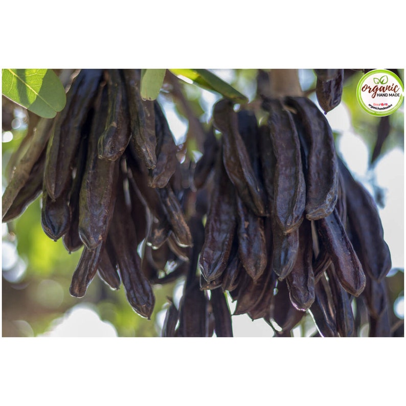 Whole Greek Organic Carob Pods Direct From Turkey-vegan Snack 400 Gr - Etsy