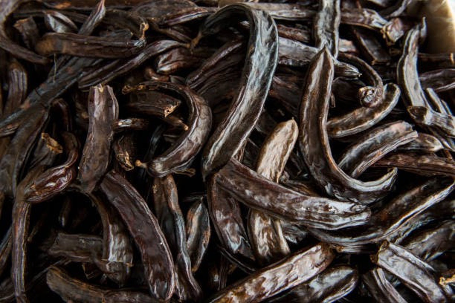 Whole Greek Organic Carob Pods Direct From Turkey | Etsy