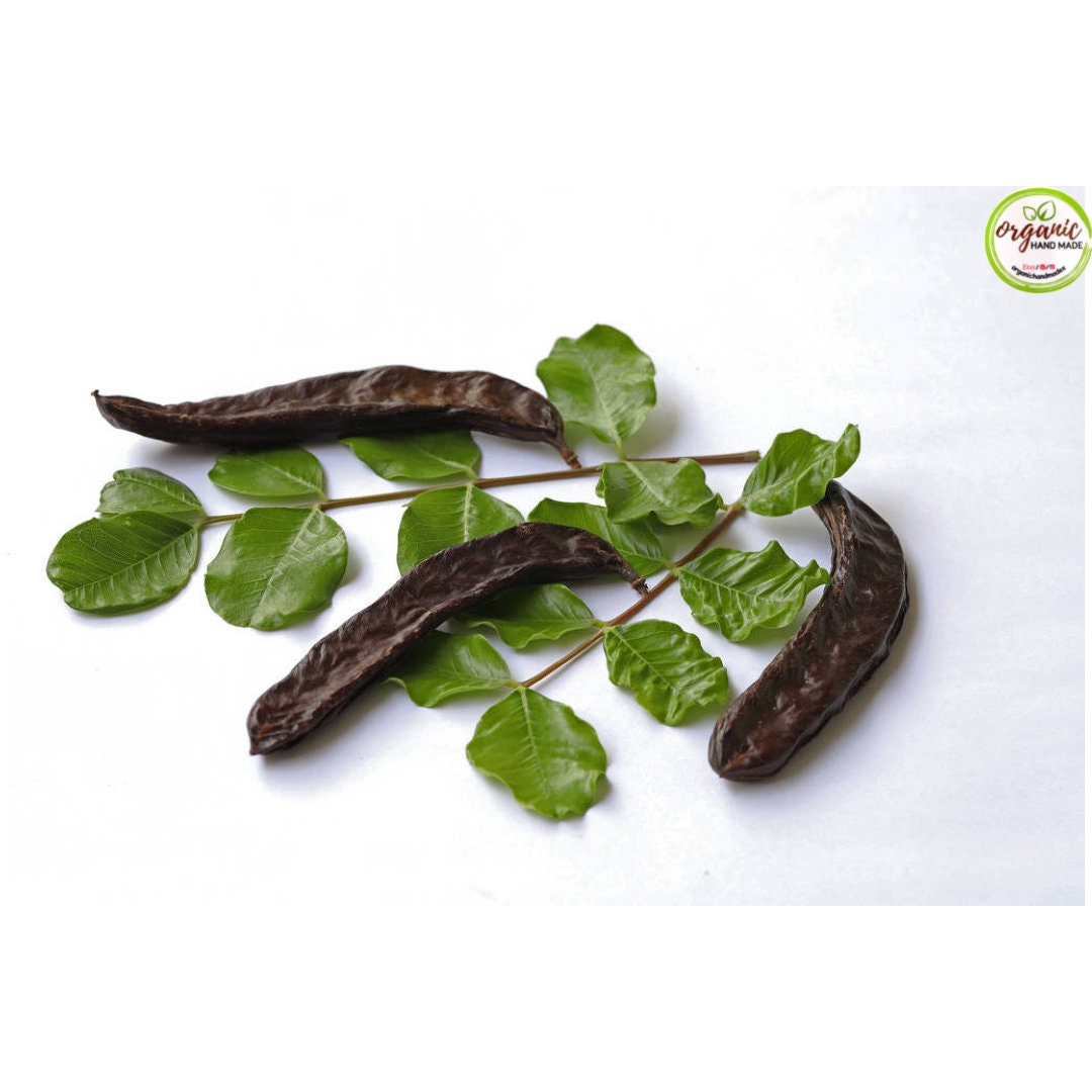 Whole Greek Organic Carob Pods Direct From Turkey-vegan Snack 400 Gr - Etsy