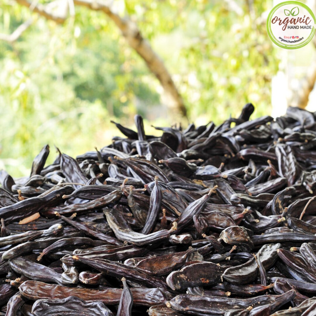 Organic Dried Carob, Vitamin Store, Healthy Snack, Flavor Store, Vegan ...