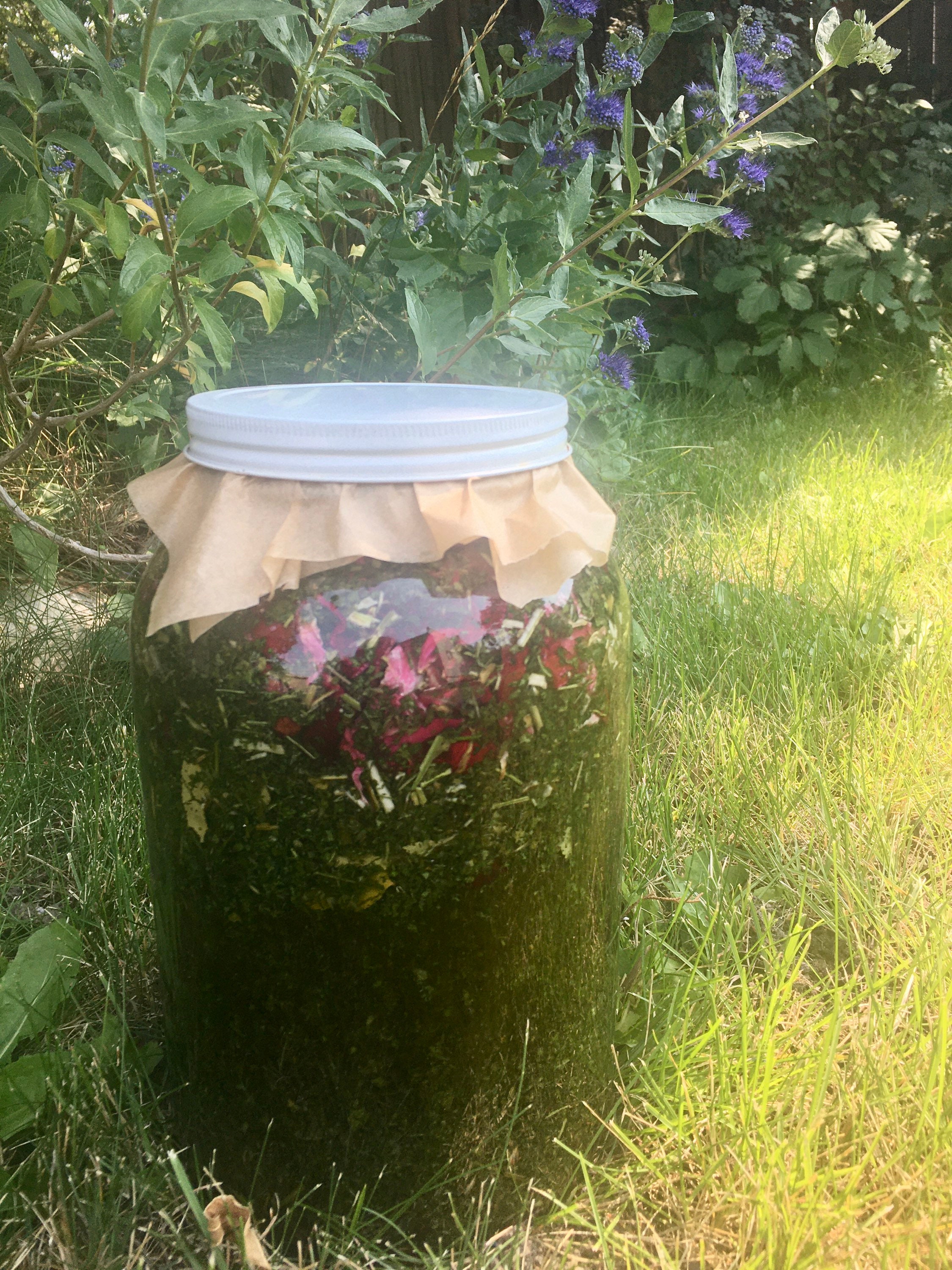 Apothecary — Raven Energy Herbal Apothecary