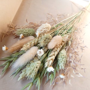 Send a Sentiment the Neutral One Letterbox Flower Post Flowers Happy ...
