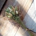 Send a Sentiment the Neutral One Letterbox Flower Post Flowers Happy ...
