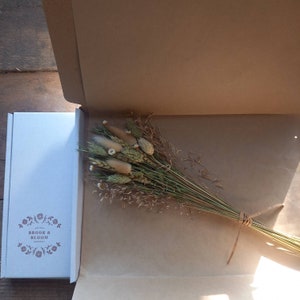 Send a Sentiment the Neutral One Letterbox Flower Post Flowers Happy ...