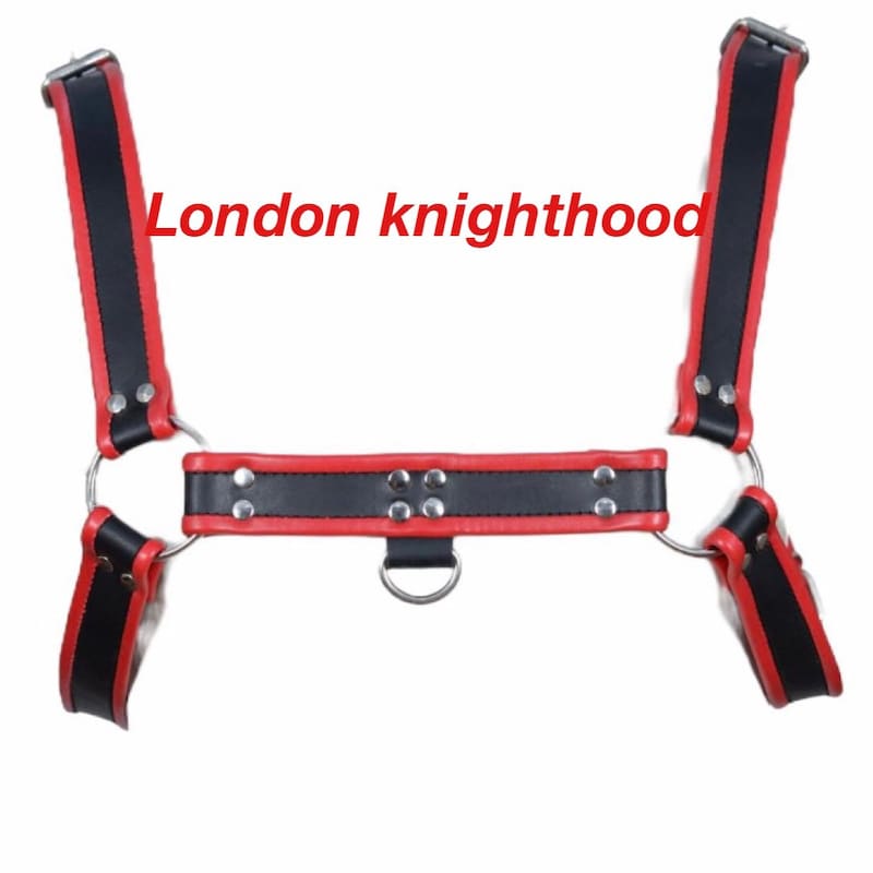 Pup Harness Leather - Etsy UK