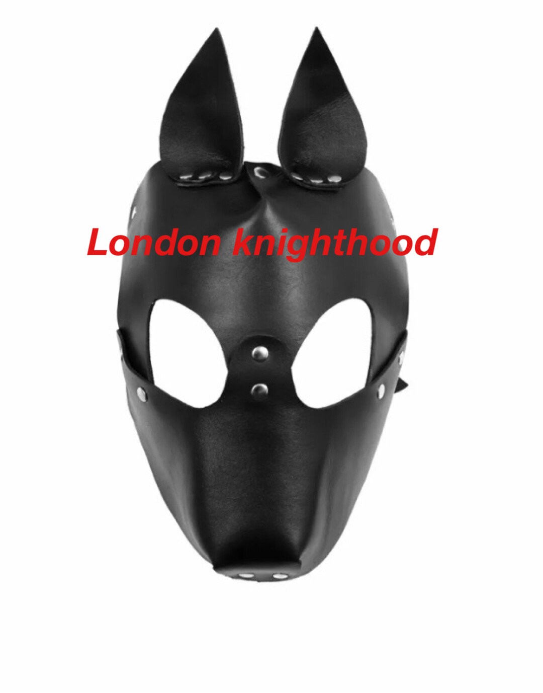 Genuine Leather Dog Puppy Petplay Pet Play Muzzle Fetish Party BDSM ...