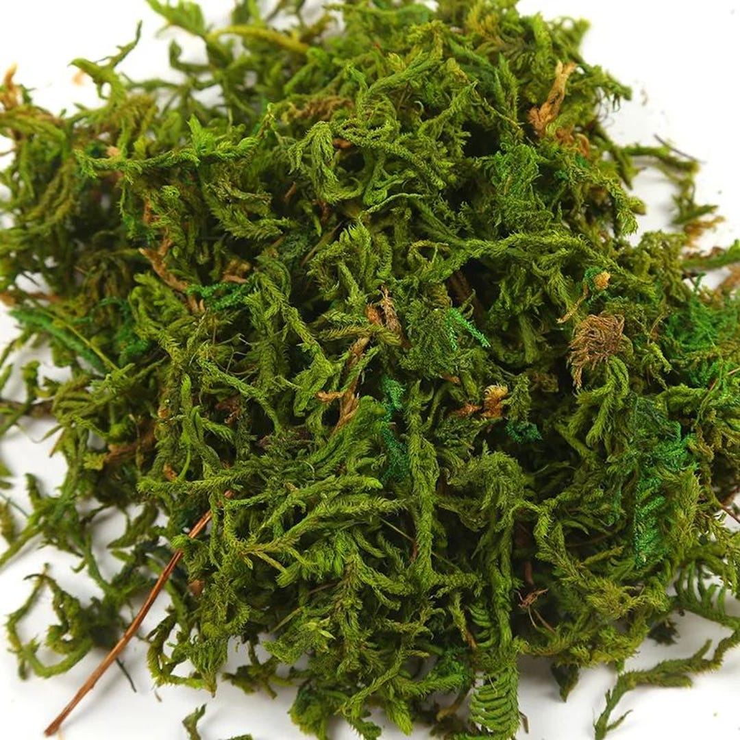 30/60g Miniature Moss Lichen Grass Model Train Railway Layout ...