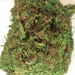 Miniature Moss Lichen Grass Model 30/60g, DIY Scenery Material - Etsy